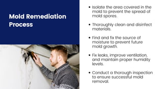 Mold Remediation Makes Your Home Healthier | PPT