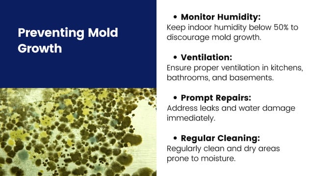 Mold Remediation Makes Your Home Healthier | PPT