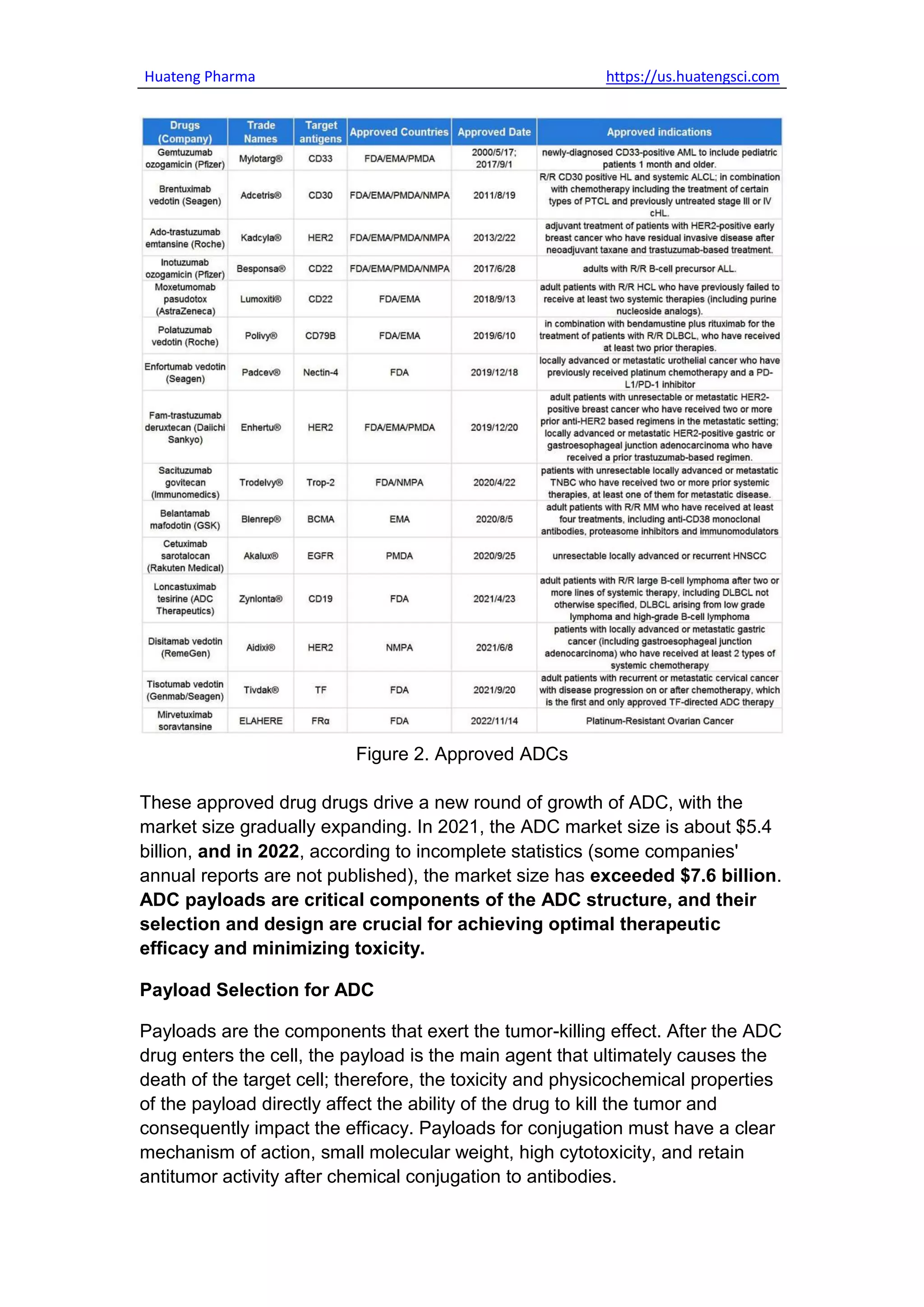 A Comprehensive Guide to ADC Payload Classes.pdf