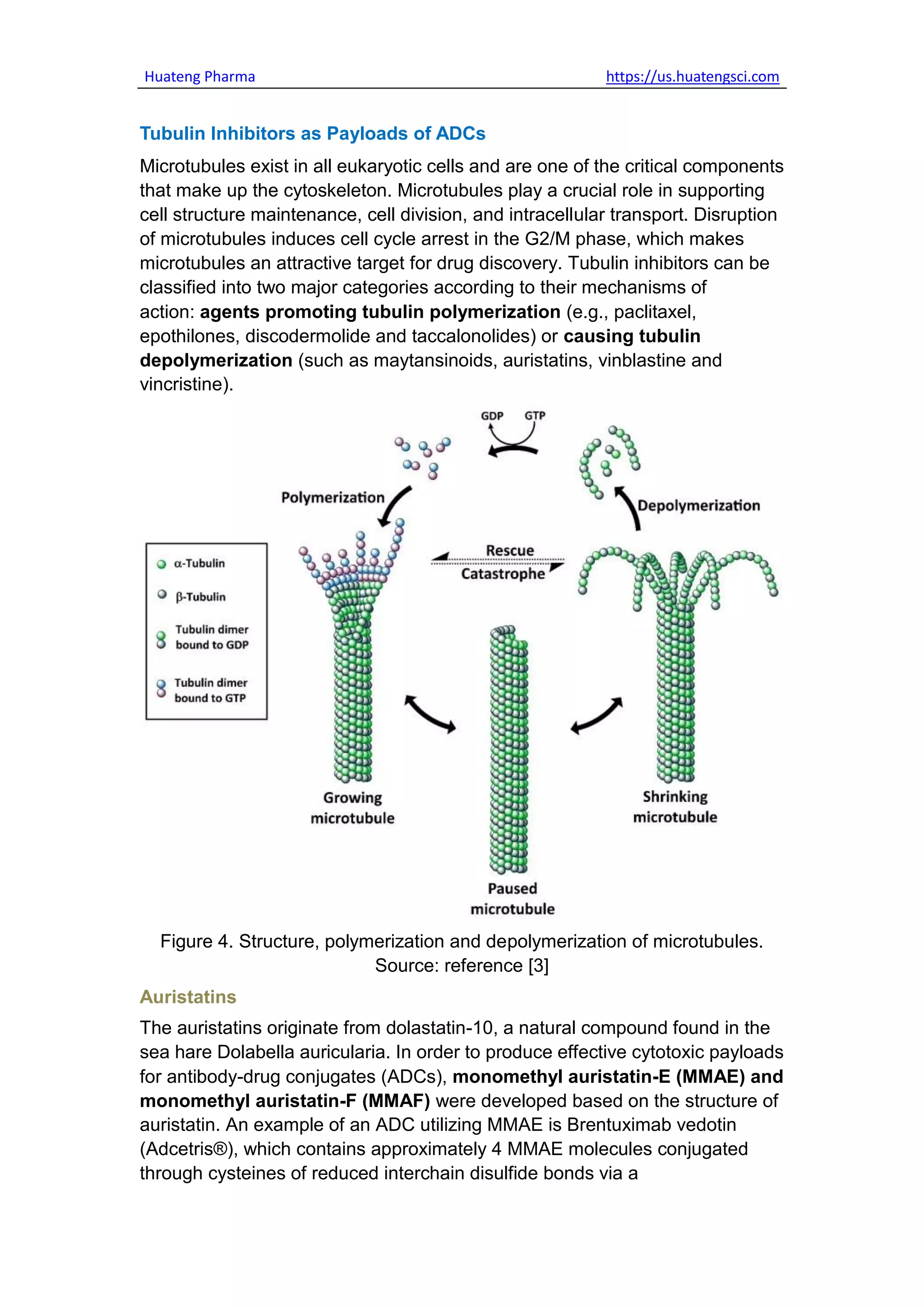A Comprehensive Guide to ADC Payload Classes.pdf