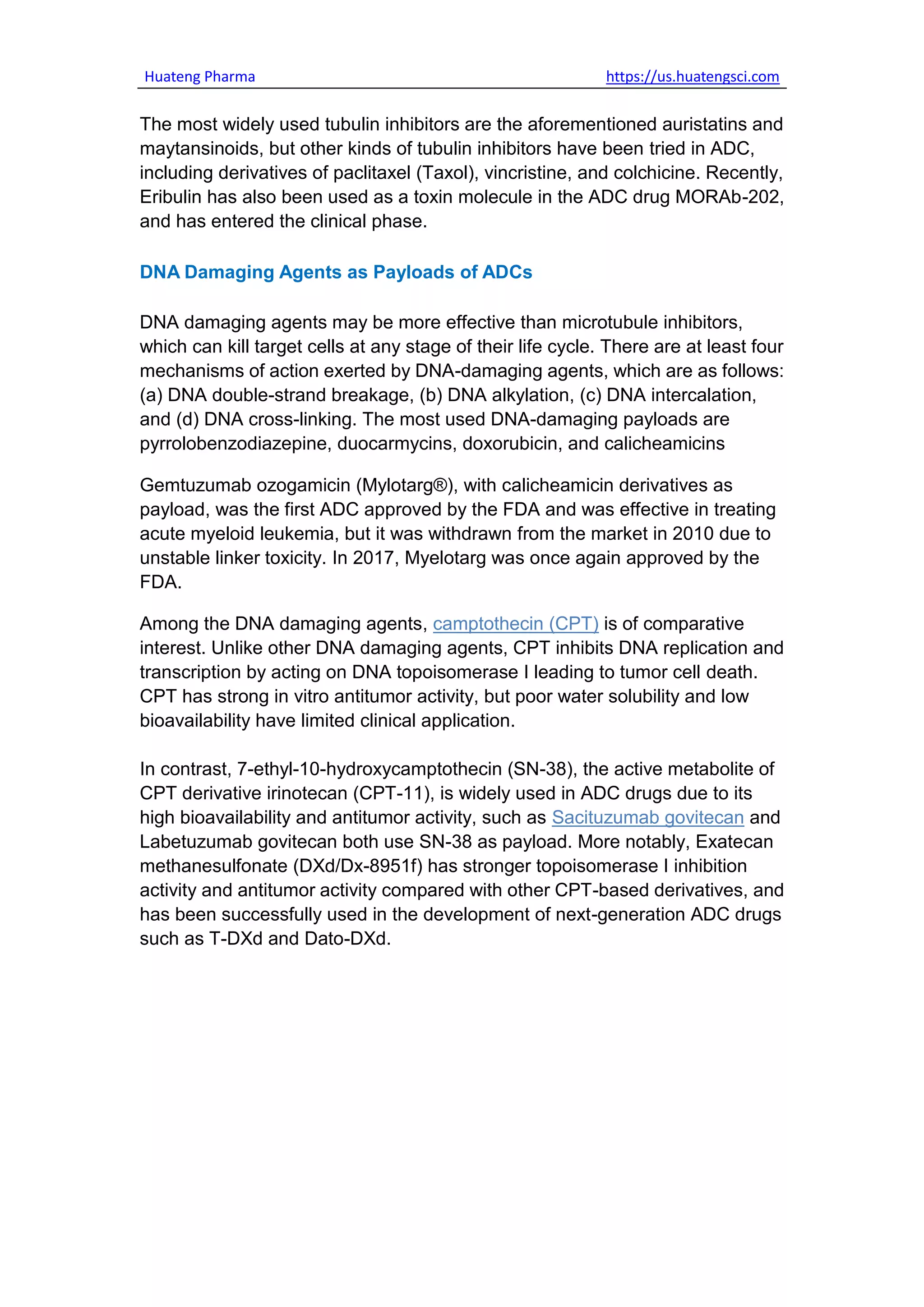 A Comprehensive Guide to ADC Payload Classes.pdf