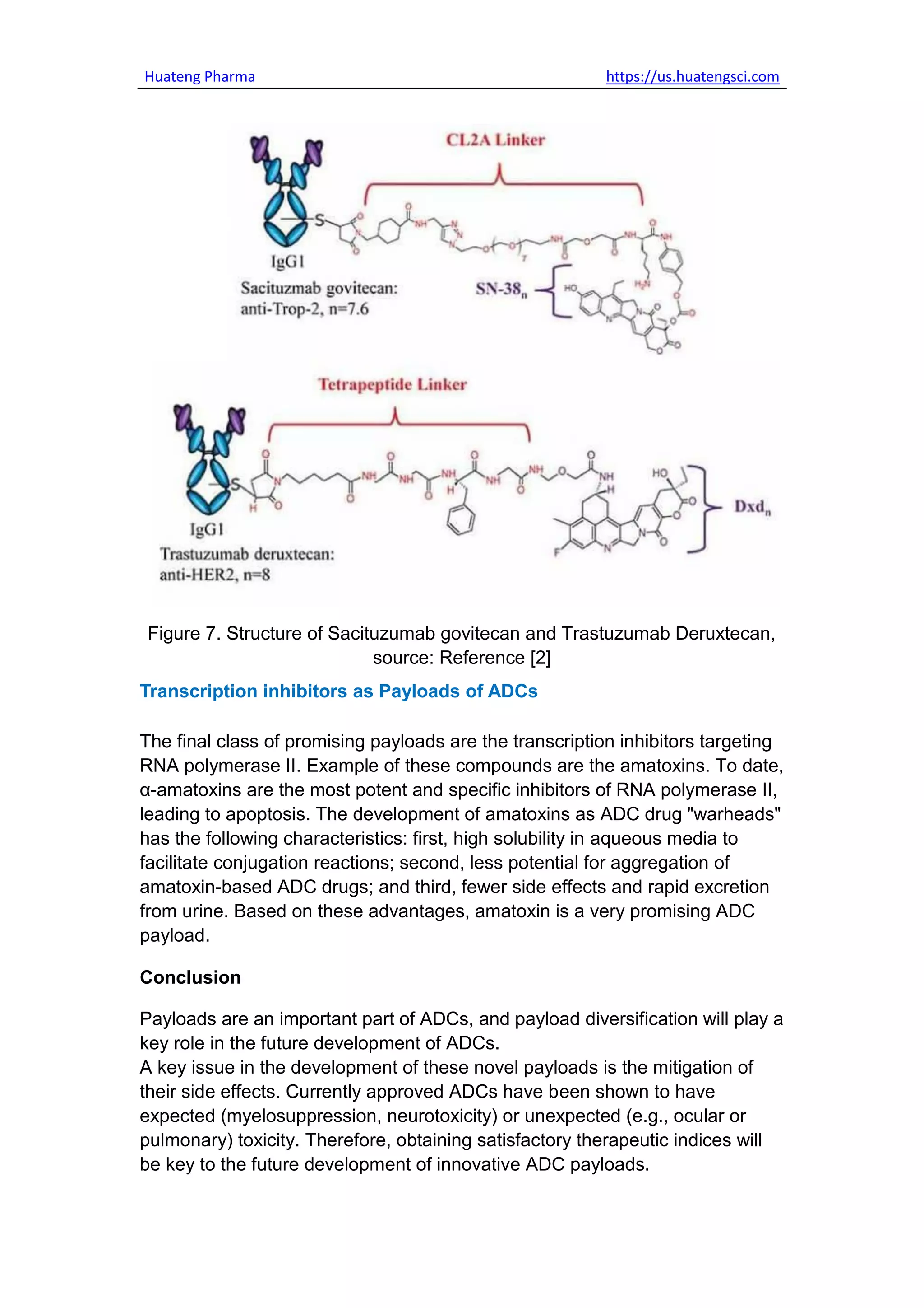 A Comprehensive Guide to ADC Payload Classes.pdf