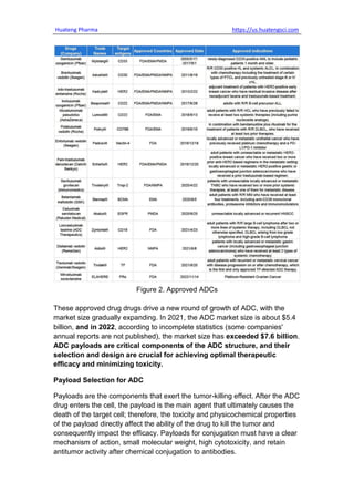 A Comprehensive Guide to ADC Payload Classes.pdf