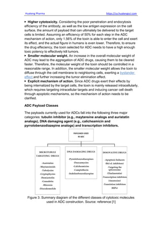 A Comprehensive Guide to ADC Payload Classes.pdf