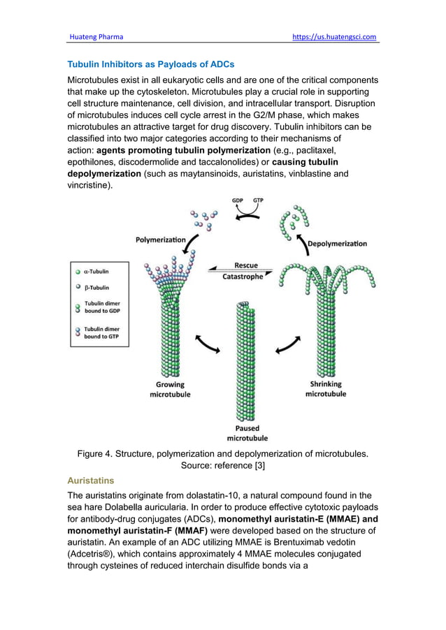 A Comprehensive Guide to ADC Payload Classes.pdf