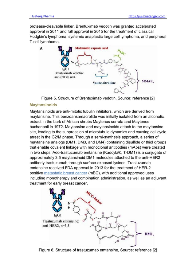 A Comprehensive Guide to ADC Payload Classes.pdf