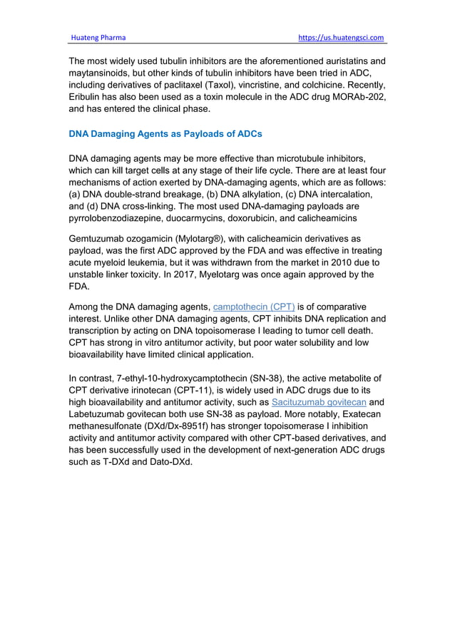 A Comprehensive Guide to ADC Payload Classes.pdf