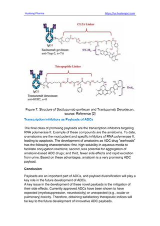 A Comprehensive Guide to ADC Payload Classes.pdf