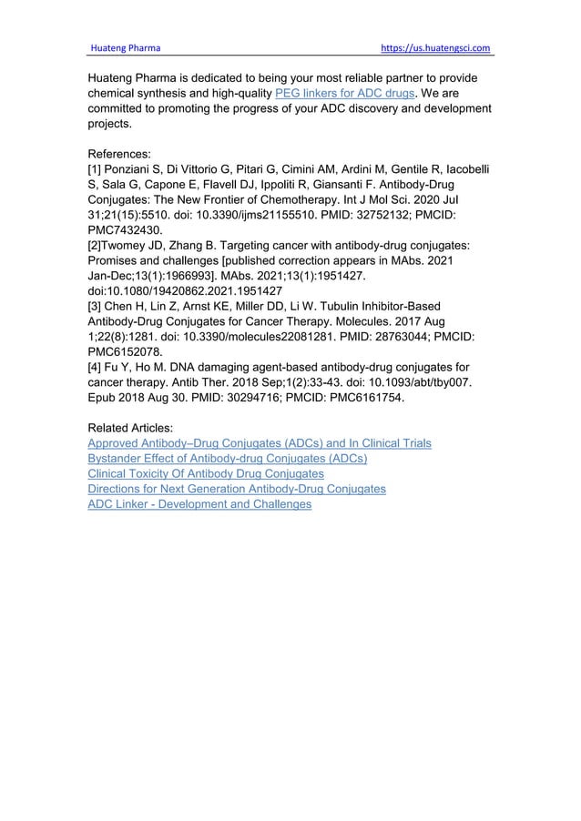 A Comprehensive Guide to ADC Payload Classes.pdf