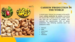 A Comprehensive Guide to Cashew Cultivation in India | PPT