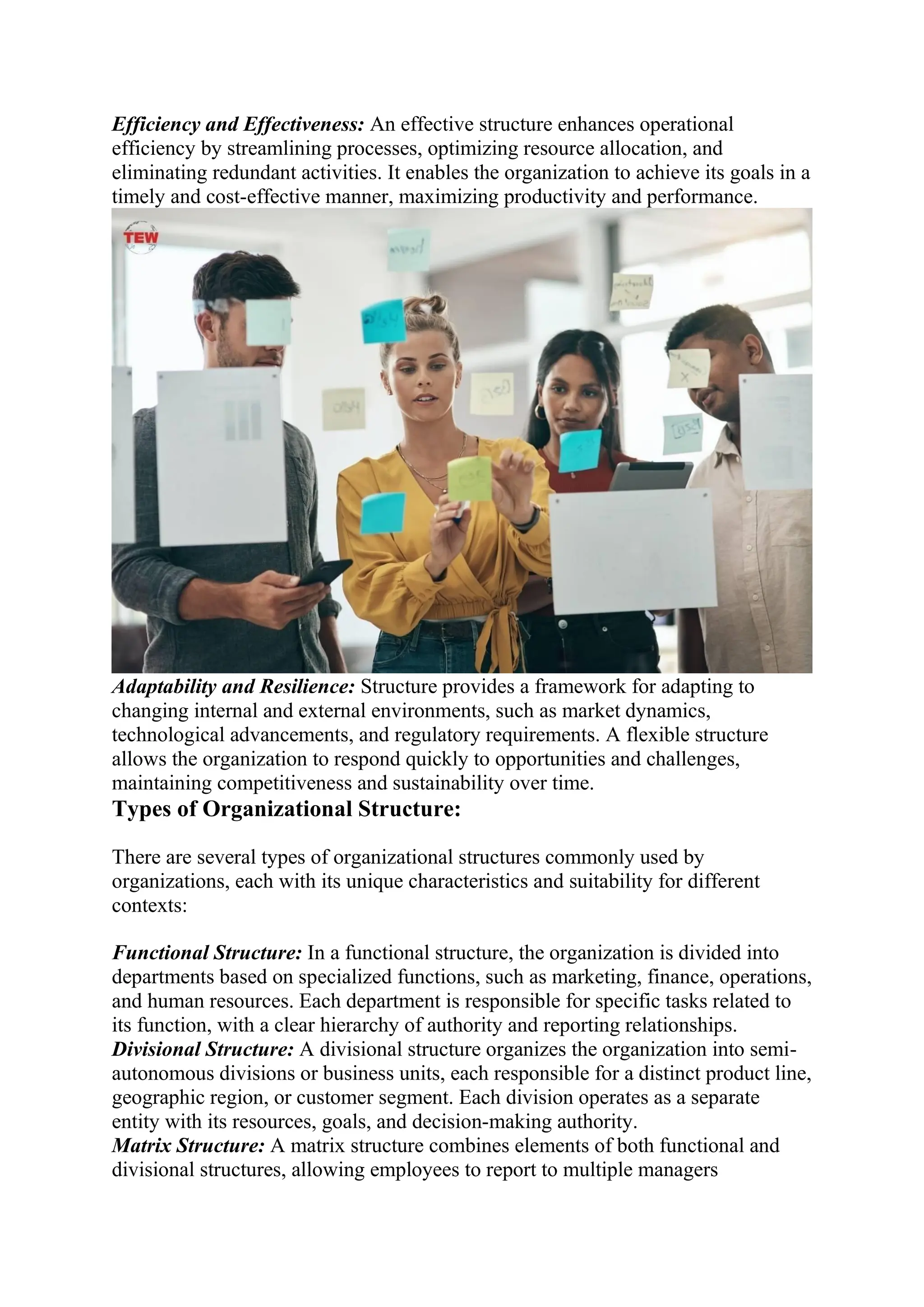 Designing Effective Systems at Organizational Structure | The Enterprise World | PDF