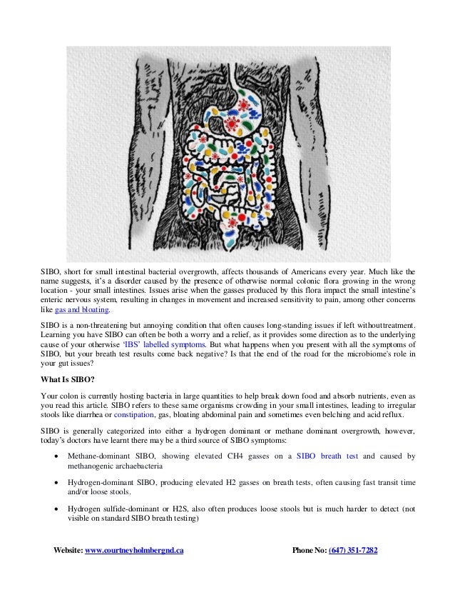 A Comprehensive Guide to Hydrogen Sulfide H2S SIBO | PDF