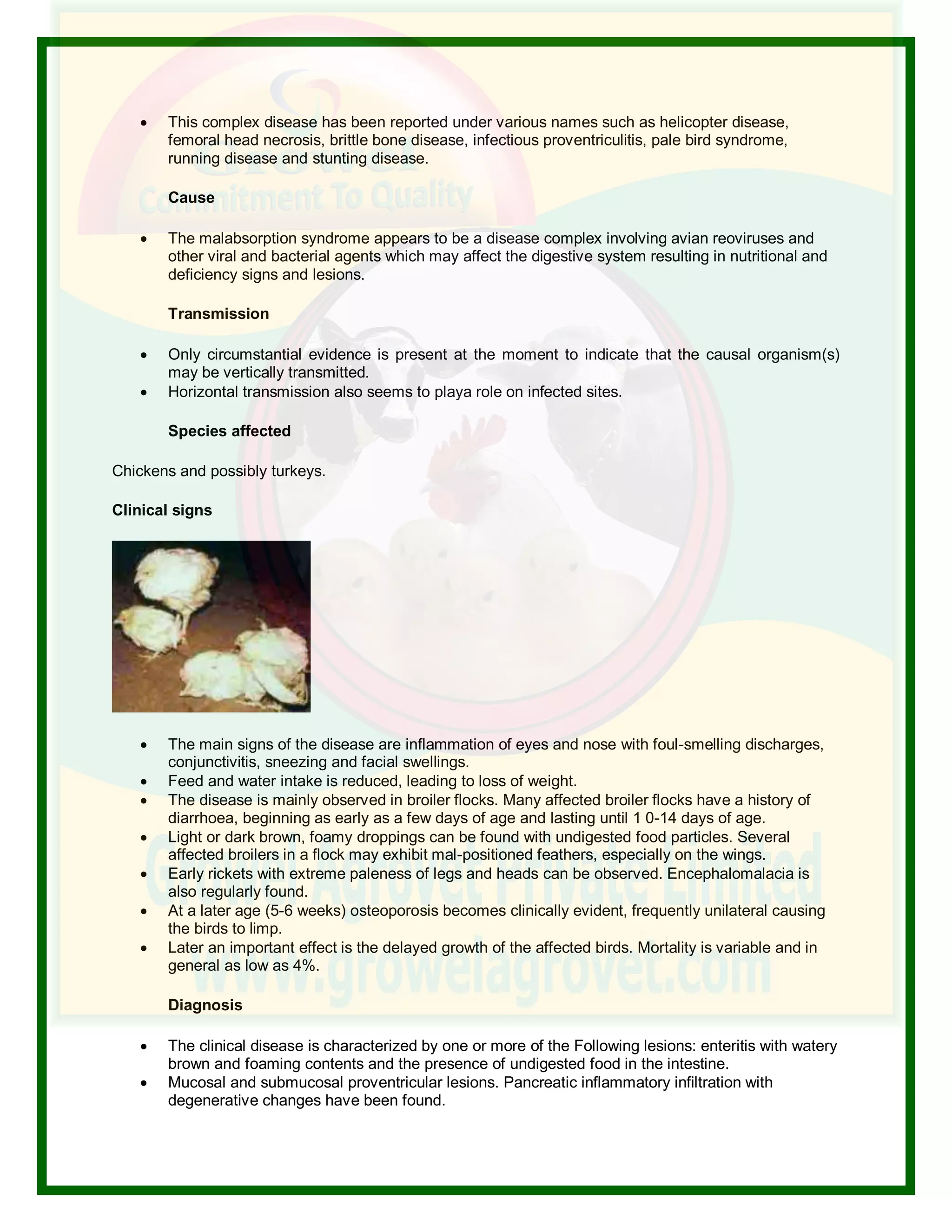 A Brief Guide to Poultry Diseases Management | PDF