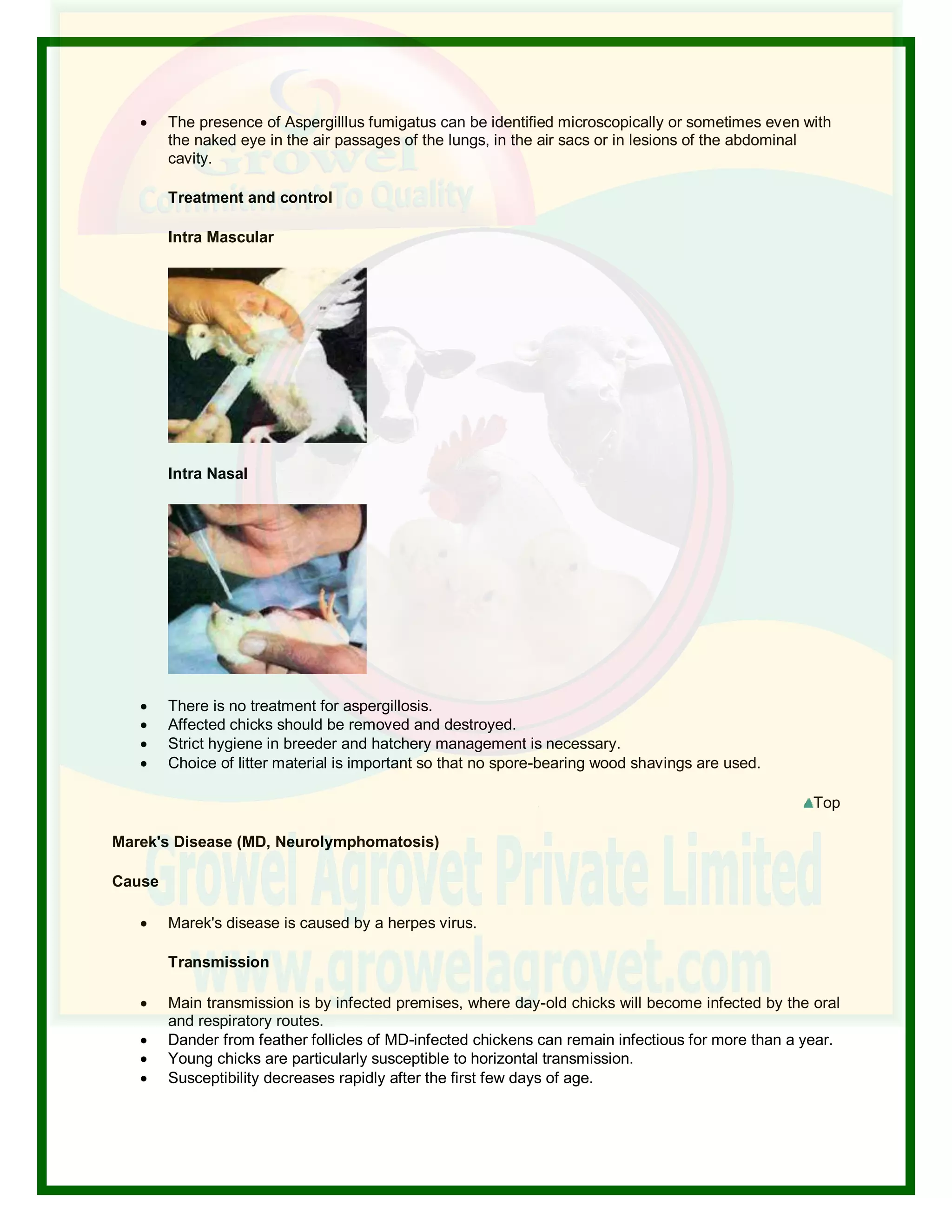 A Brief Guide to Poultry Diseases Management | PDF