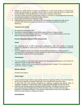 A Brief Guide to Poultry Diseases Management | PDF