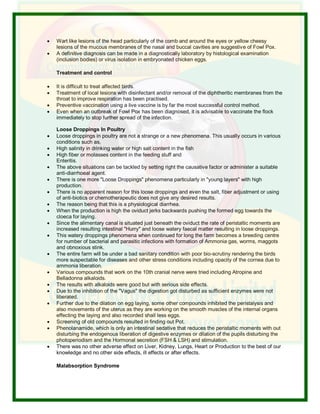 A Brief Guide to Poultry Diseases Management | PDF