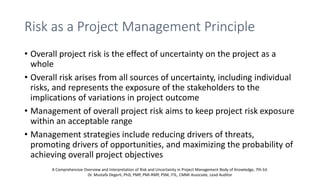 A Comprehensive Overview and Interpretation of Risk and Uncertainty in ...