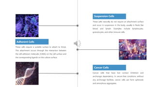 A Comprehensive Review of Cell Isolation Methods | PPTX