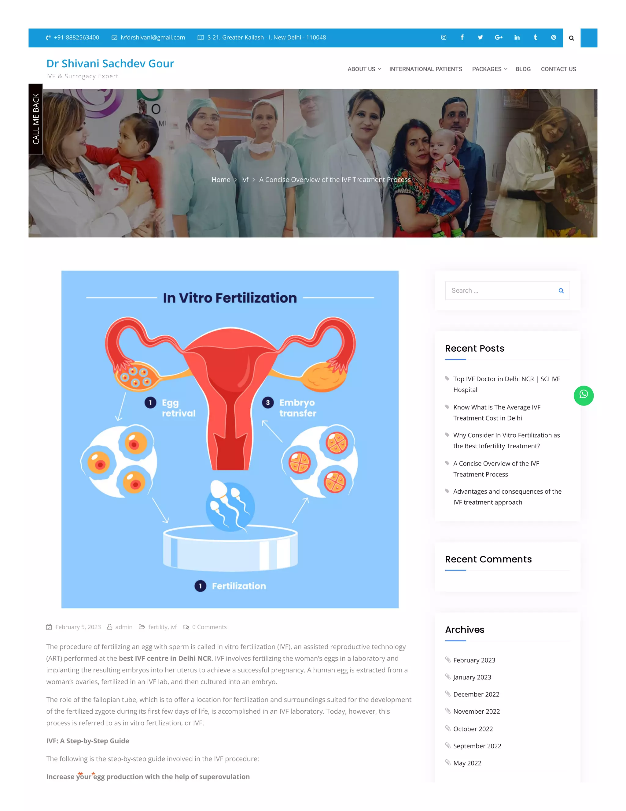 A Concise Overview of the IVF Treatment Process | PDF