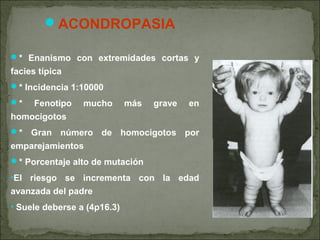 Acondroplasia. genetica | PPT