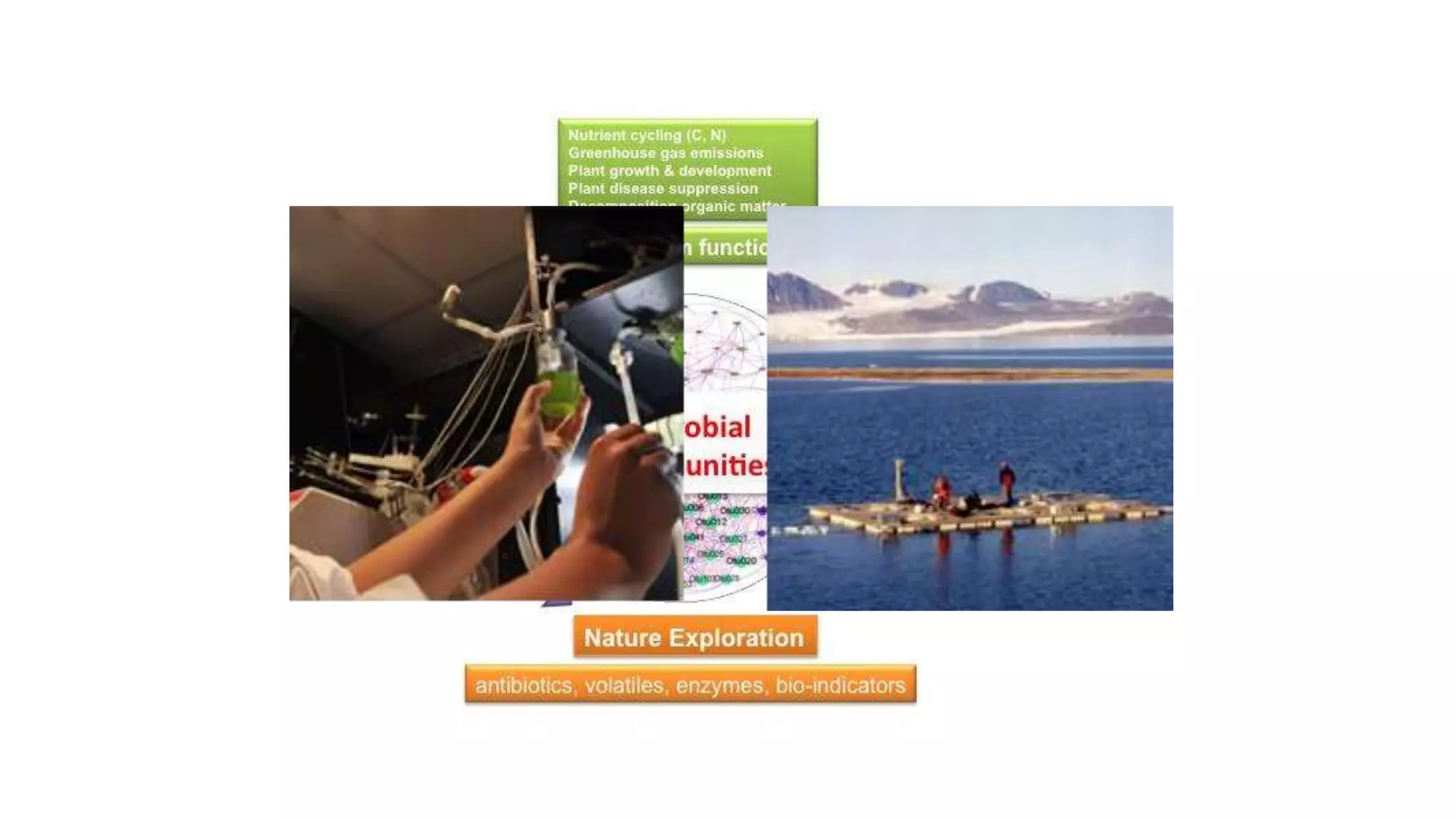 OSFair2017 Workshop | Open Science for Ecology | PPT