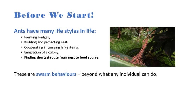 Ant Colony Optimization (ACO) | PPTX | Programming Languages | Computing