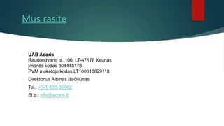 Acoris kortelių meistrai | PPT