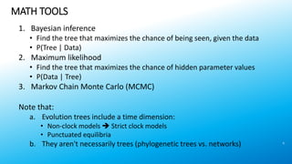 A Cosmic Hunt In The Berber Sky: An Introduction to Phylogenetic ...
