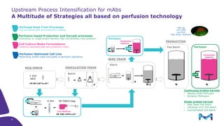 A Cost Analysis and Evaluation of Perfused Seed Train Scenarios Through ...