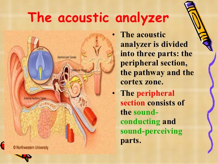 Acoustic Analyzer