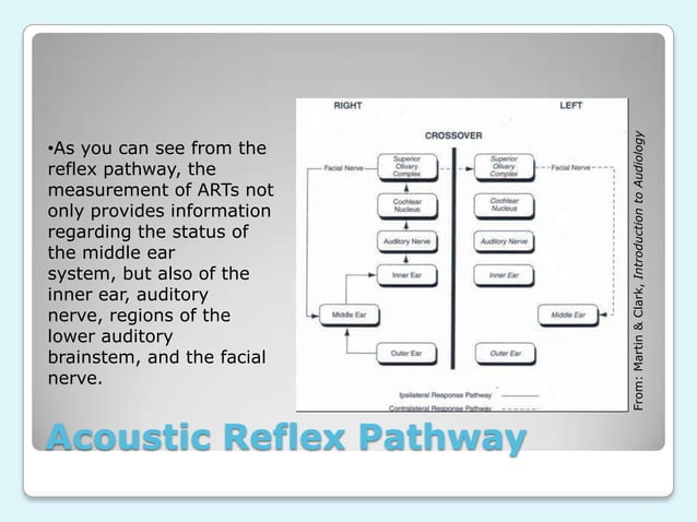 Acoustic Immittance Measurements | PPTX | Digital Audio | Computer ...