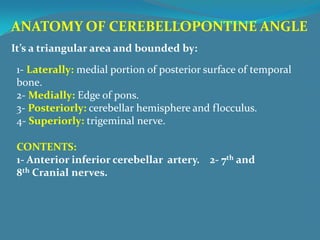 acousticneuroma-130218031645-phpapp01.pdf