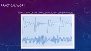 Acoustic phonetics | PDF