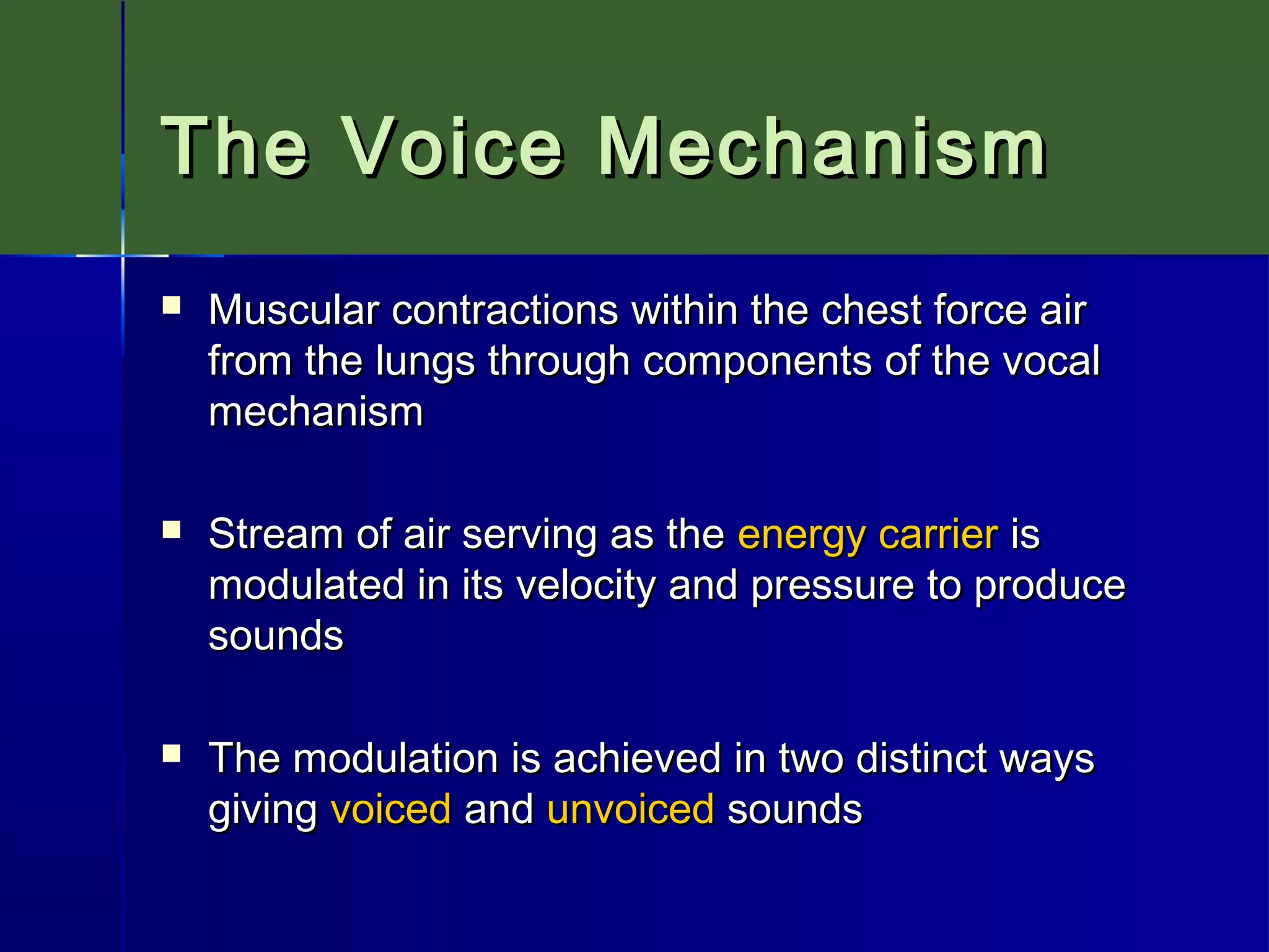 Acoustics of Speech: The Voice Mechanism | PPT