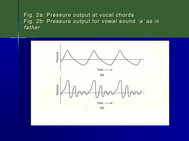 Acoustics of Speech: The Voice Mechanism | PPT
