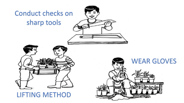 ACP 9 Third Q. lesson 1 Agricultural Crop Production | PPTX | Gardening ...