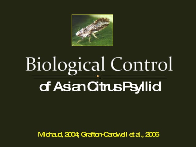 Identification and threat from the Asian Citrus Psyllid | PPT ...