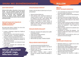 acpd-fletepalosje-bullizmi-nentor-publikime10.pdf