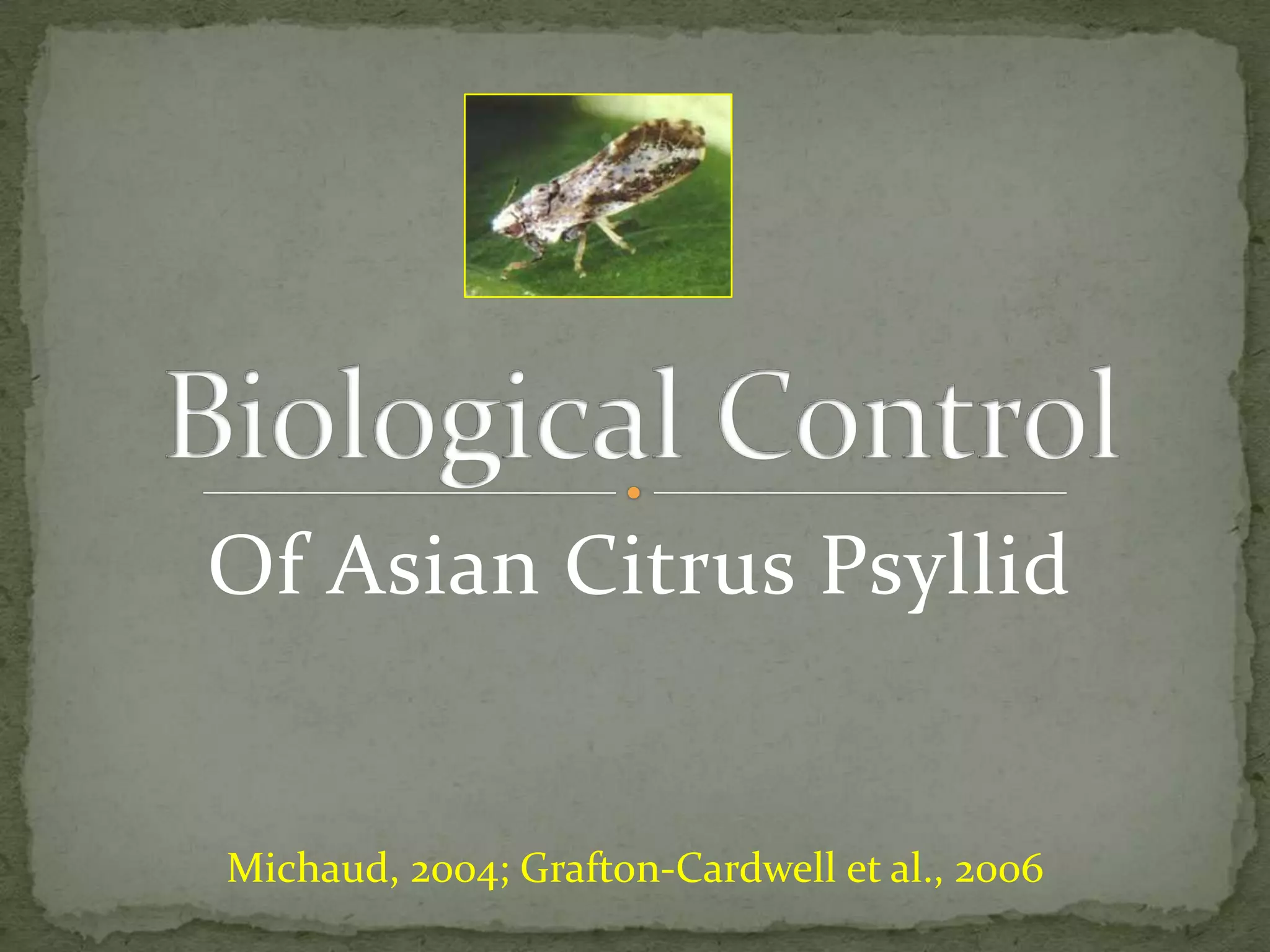 Natural Control of Asian Citrus Psyllid | PPTX