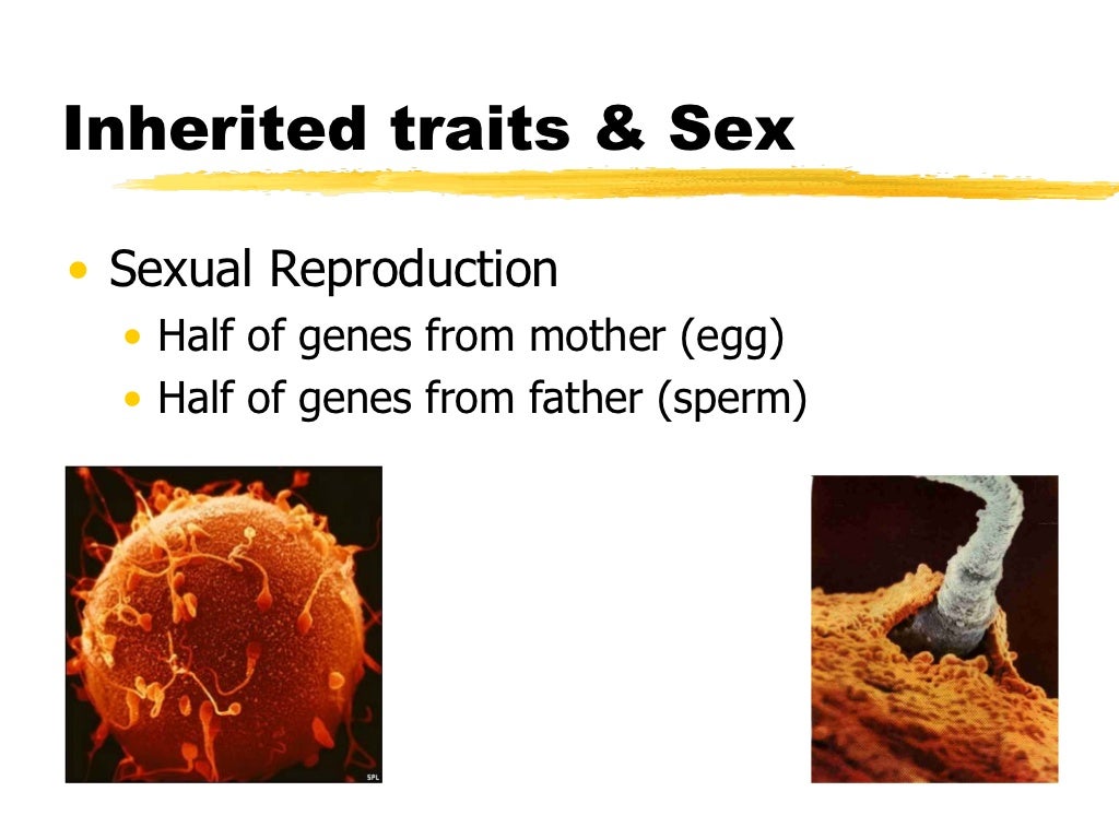 Acquired And Inherited Traits acquired-and-inherited-traits