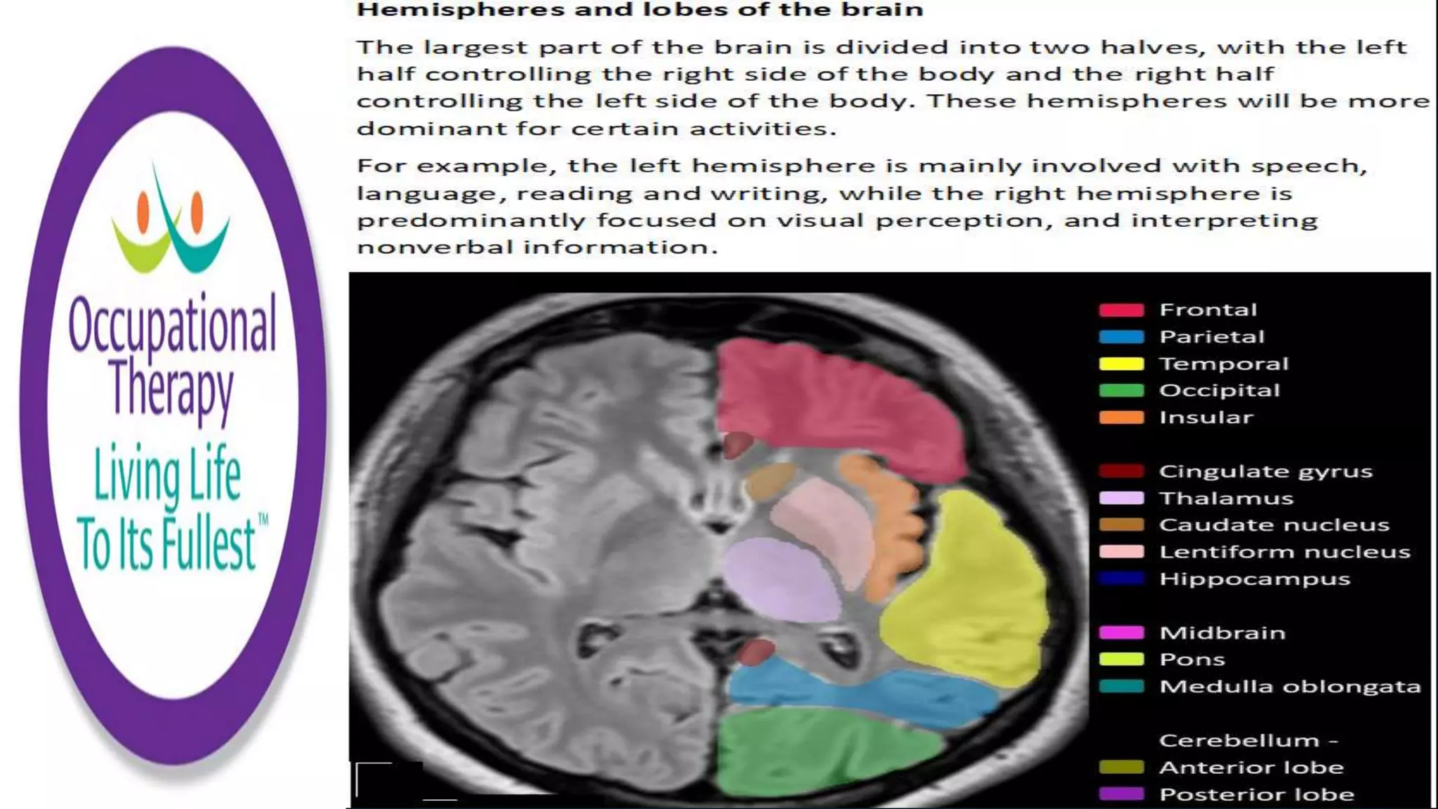 Occupational Therapy and Acquired Brain Injury | PPTX