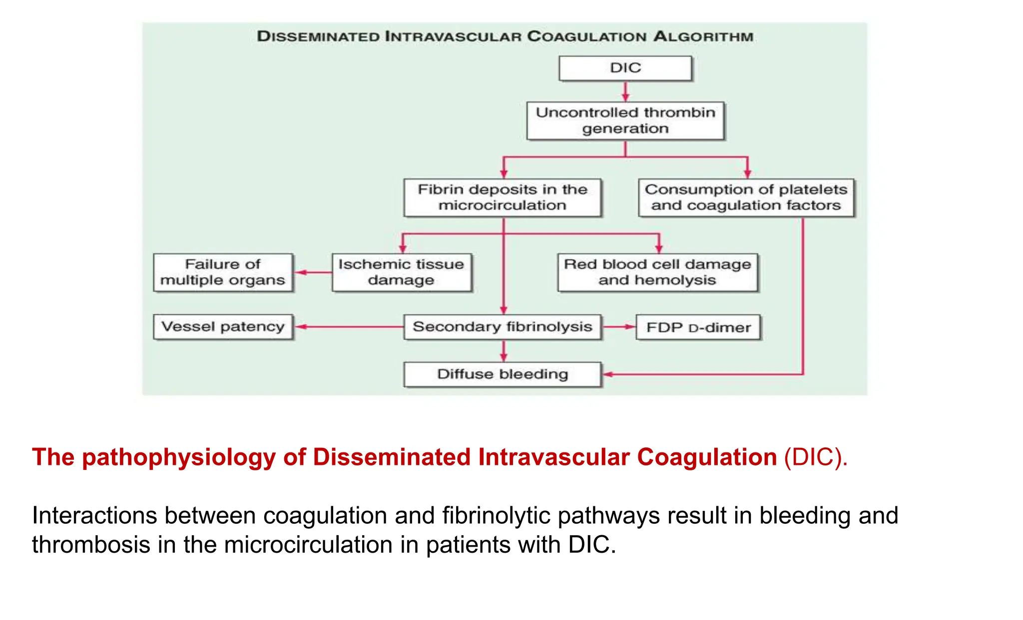 Acquired Deficiencies of Coagulation Factors.pptx