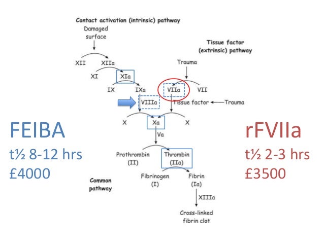 The Many Facets of Acquired Haemophilia