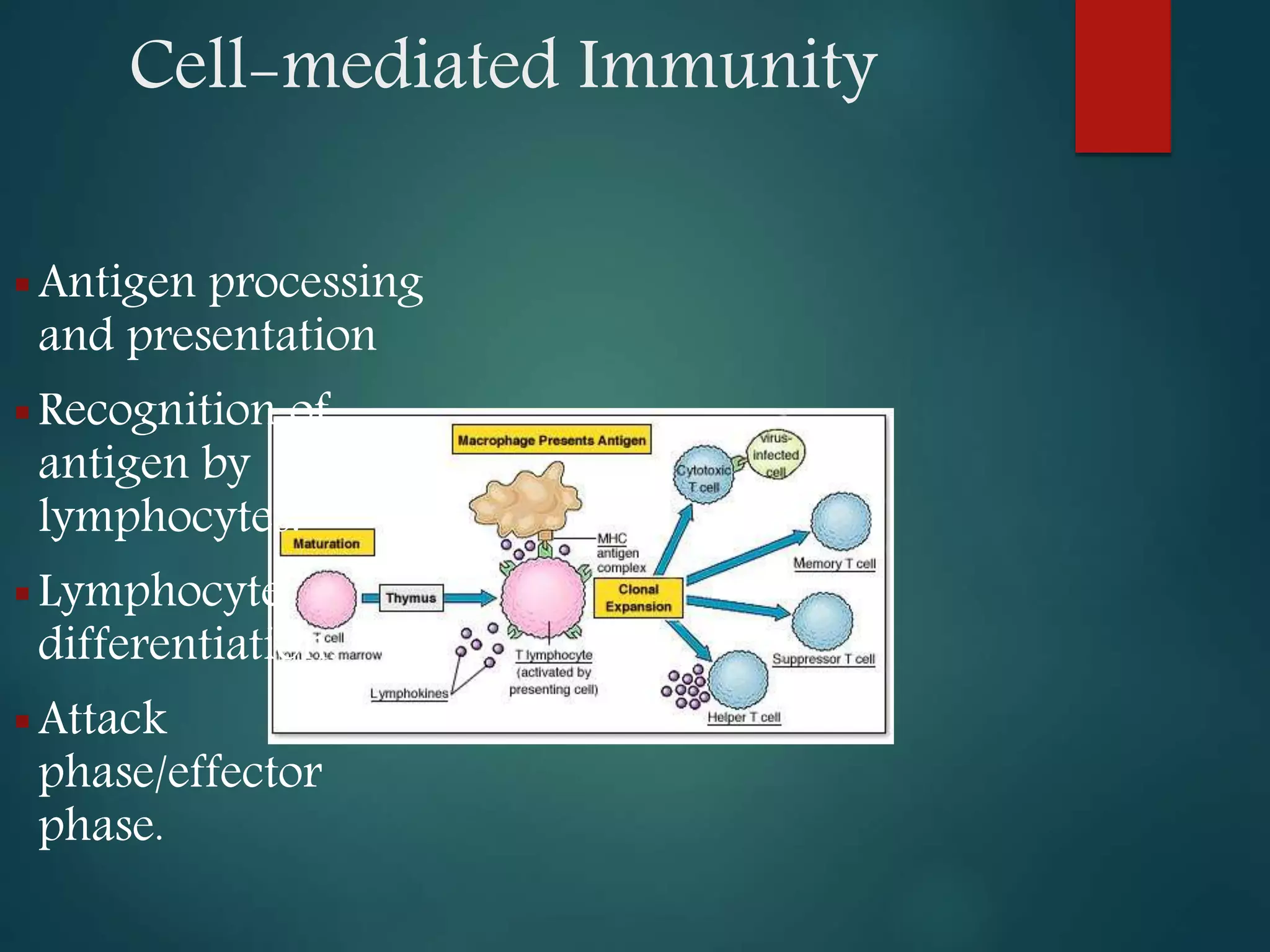 Acquired immunity | PPTX | Biological Sciences | Science