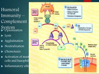 Acquired immunity | PPTX | Biological Sciences | Science