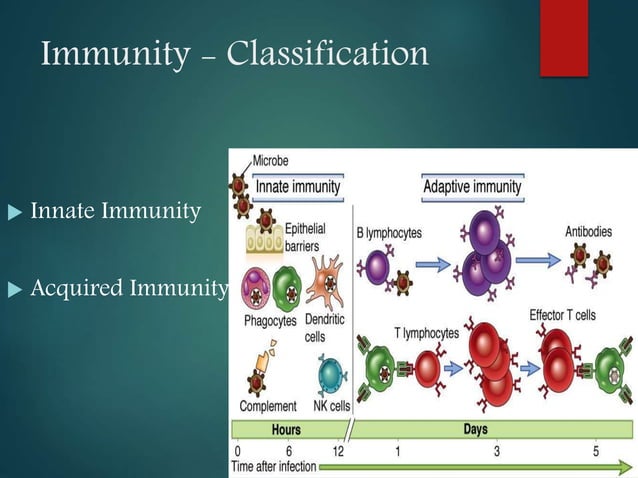 Acquired immunity | PPTX | Biological Sciences | Science
