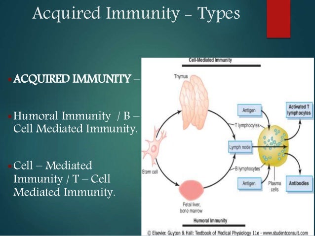 Acquired immunity