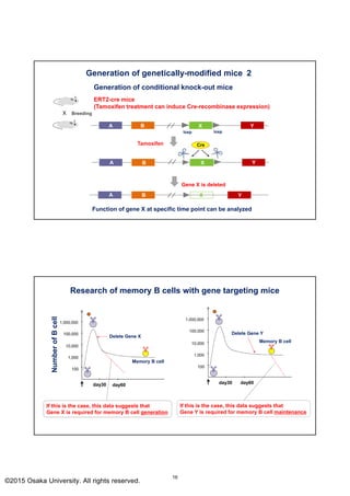 Acquired Immunity 2 - Vaccines & Immunological Memory | PDF