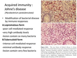 Immunity to bacteria and related organisms in animal | PPTX