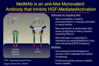 Acquired resistance to EGFR TKIs in Lung Cancer (NSCLC) | PPT